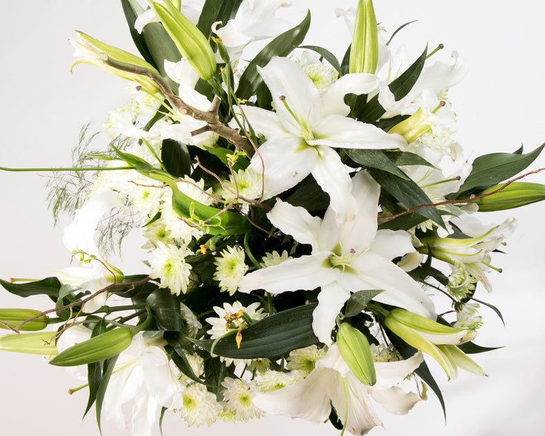 The Cordelia – The Flower Farm Corporation