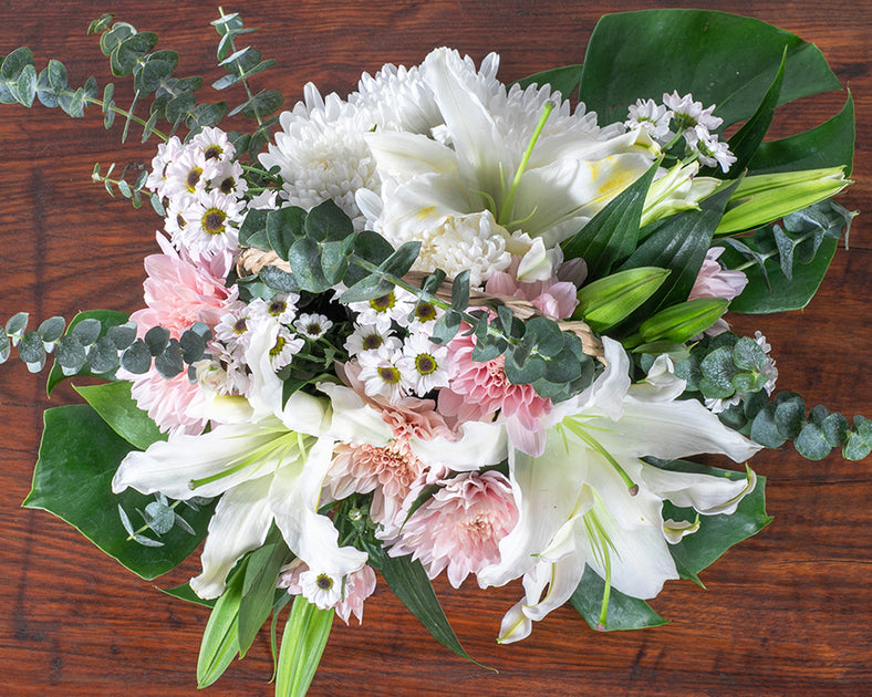 The Maria – The Flower Farm Corporation